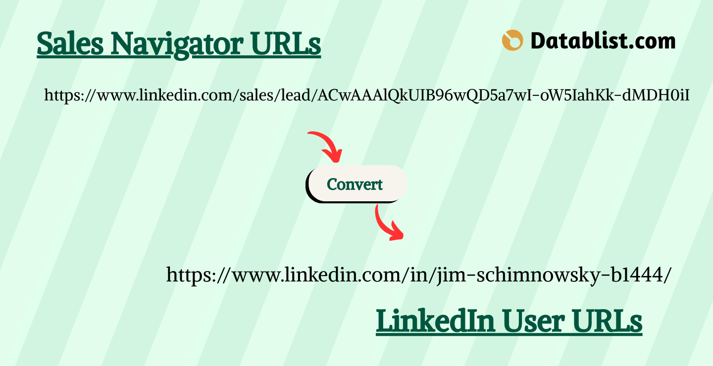 How to convert Sales Navigator URLs to LinkedIn Profile URLs (Step by Step Guide) - Datablist